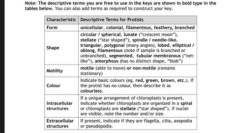 Solved Make A Protist Dichotomous Key From The