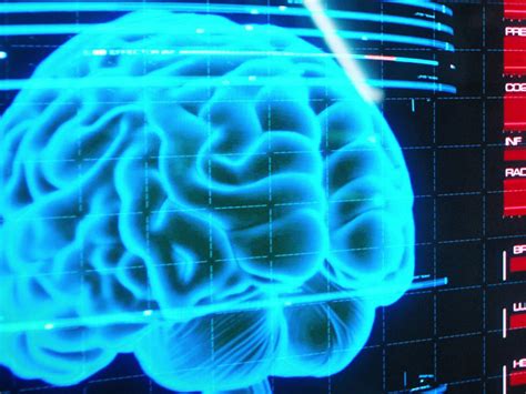 Brain Trekipedia