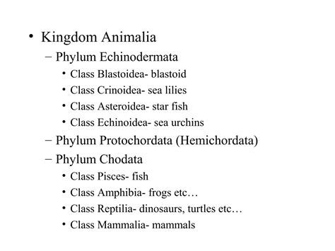 Classification Ppt Biological Sciences Science