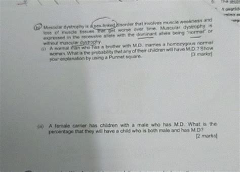 Bi Muscular Dystrophy Is A Sex Iniked Iscrder Studyx