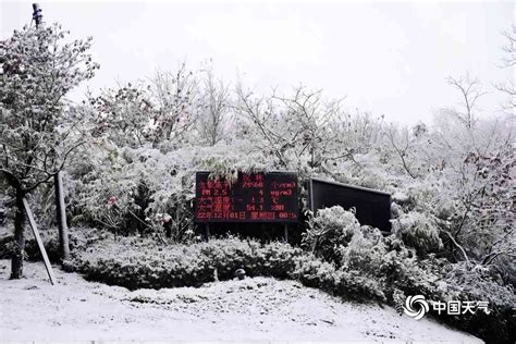 雪落罗汉林 踏雪瑞叶寒 高清图集 四川站
