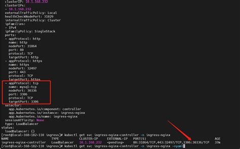 【云原生】k8s Ingress Rewrite与tcp四层转发讲解与实战操作 Csdn博客