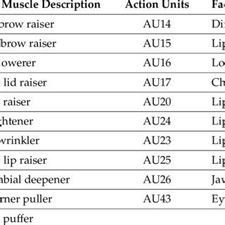 Facial Action Units With Their Description Download Scientific Diagram