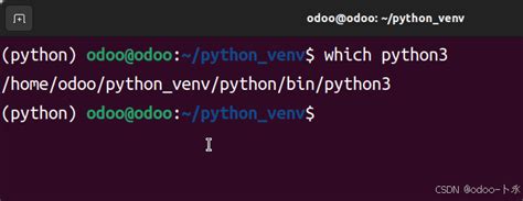 Ubuntu创建python虚拟环境 Csdn博客