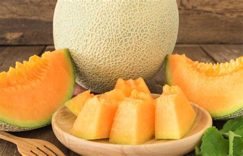 Dưa Lưới Trong Tiếng Anh Là Gì Định Nghĩa Ví Dụ Anh Việt Máy Ép Cám