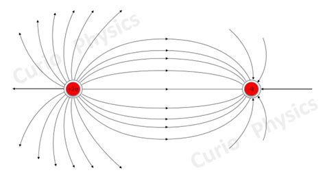 Properties Of Electric Field Lines Curio Physics