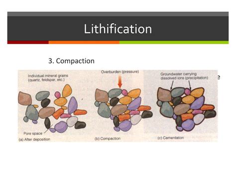 Ppt Sedimentary Rocks Rocks Powerpoint Presentation Free Download