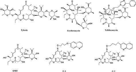 Chemical Structure Of Tylosin Erythromycin Telithromycin Omt C 1 Download Scientific
