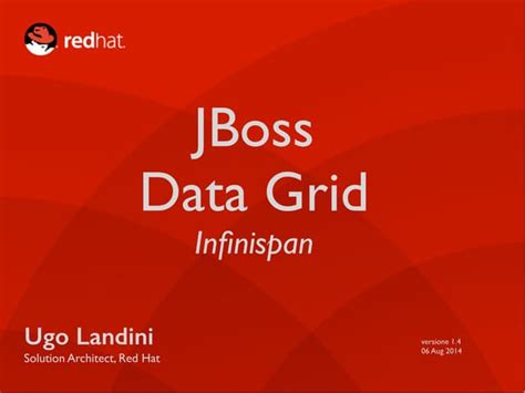 Data Grid Ppt