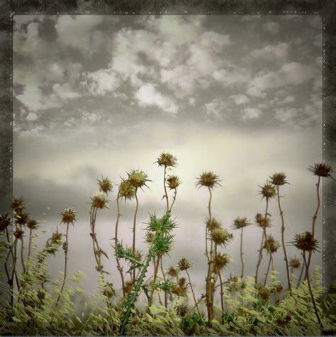 Anog Ite Gj Olionnaine Flickr