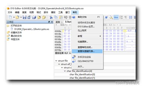 【开发环境】010 editor 工具 工具下载 二进制文件分析模板模板安装 快捷键查看与设置 010editor在虚拟机怎么