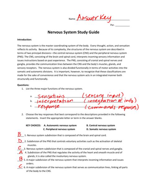 Chapter 7 The Nervous System Worksheet Answers Db Excel Com