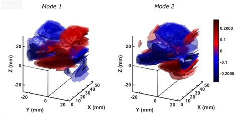 3d Spatial Modes 1 And 2 Of The Experimental Data Compare With The
