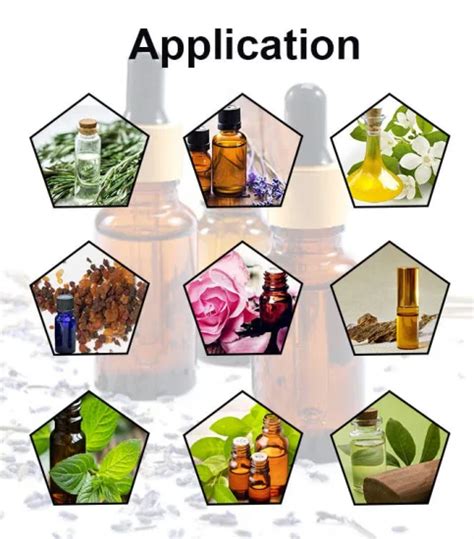 Essential Oil Steam Extractor Extraction Machine Distiller Distillation