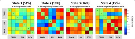 dynamic connectivity states the four states identified from the dfnc