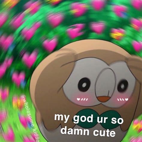Pin By Bear On Love Memes Edits Cute Love Memes Wholesome Pictures