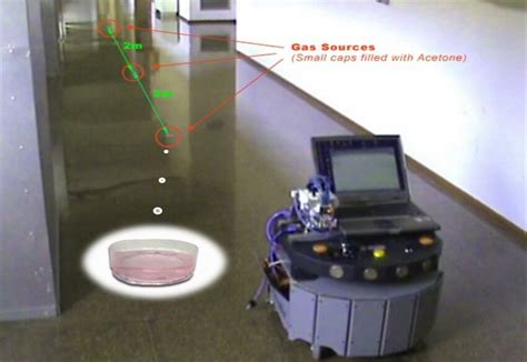 Description Of The Multiple Gas Source Experiment Three Small Cups Download Scientific Diagram