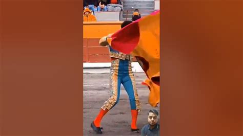 Man Vs Bulf Attack Dangerous Shortvideo Viralvideo Youtube