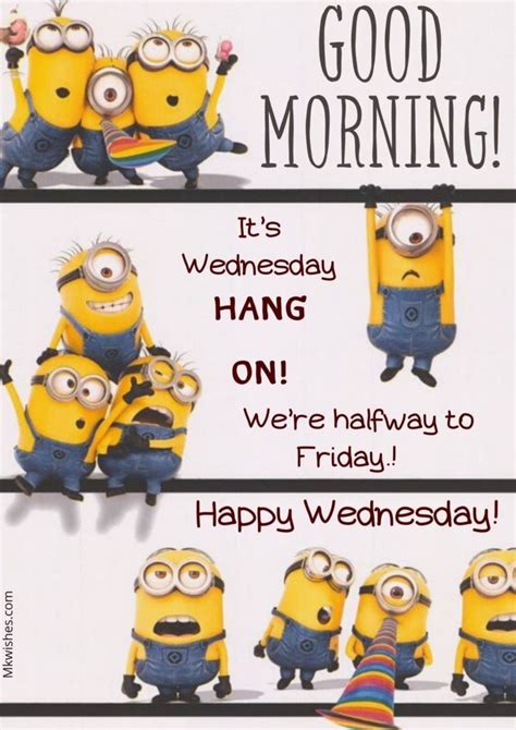30 Cute Good Morning Wednesday Images Hd Downloads Mk Wishes