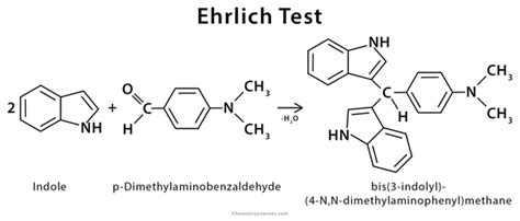 Ehrlich Reagent Definition Preparation And Result