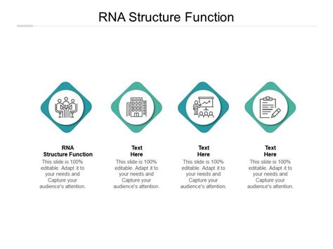 Rna Structure Function Ppt Powerpoint Presentation Portfolio Rules Cpb