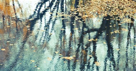 Teaching Self Regulated Learning Skills