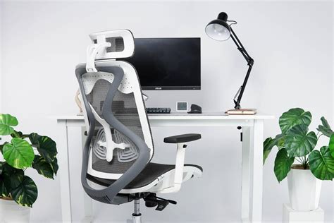 Ngồi Ghế Công Thái Học Nhưng Vẫn Không Thoải Mái Đâu Mới Là Tư Thế Ng Hyperwork