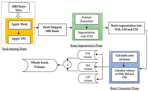 Brain Tumor Detection Using Federated Learning Encyclopedia Mdpi