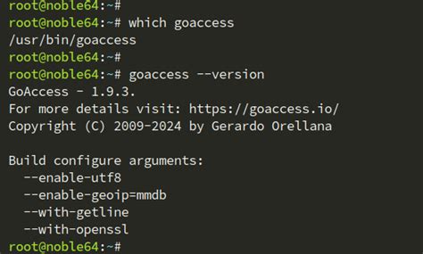 How To Install Goaccess Log Analyzer On Ubuntu 2404