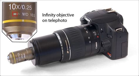 Using Microscope Objectives For Macro Photography At Lincoln Fenner Blog