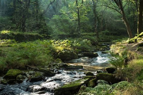 Пин от пользователя Sarah Rocheleau на доске Mossy Bank в 2025 г Пейзажи Живописные