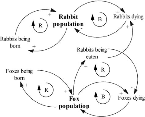An Example Of CLD Structure And Dynamics Download Scientific Diagram
