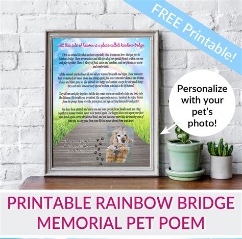 The Rainbow Bridge Poem For Dogs Printable