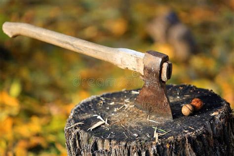 Axe In Log Stock Photo Image Of Lumberjack Chop Stump