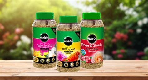 Ericaceous Plant Food Feed Fertiliser Bundle Of 900g Continuous