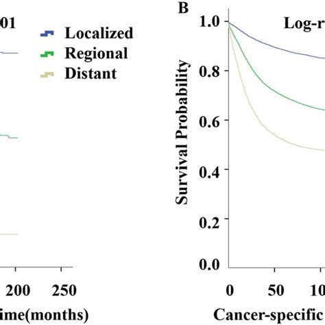 Survival Analysis Of Macs By Tumor Stage And Tumor Grade A Download Scientific Diagram