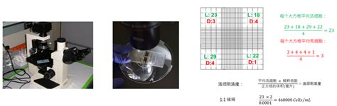 如何分辨“真“、”假”全自动细胞计数仪？ 知乎