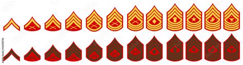 Vector Military Insignia Of The Dress And Service Uniform Of The United