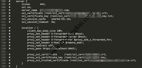 Nginx反向代理时提供证书供服务器校验客户端证书 进城务工人员小梅