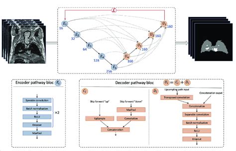 Architecture Of Deepmeta Network For Lung And Metastases Segmentation