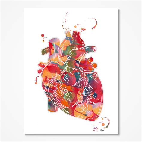 Anatomical Heart Print Abstract Medical Art Poster Mimiprints Anatomy