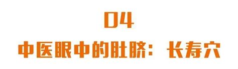 艾健康肚脐眼竟然藏着生老病死的秘密后悔知道晚了 阿波罗新闻网