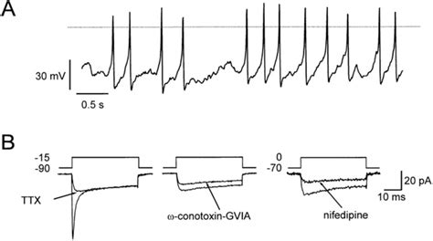Spontaneous Electrical Activity In Isolated Rat Pancreatic A Cells A Download Scientific