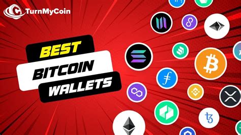 Best Bitcoin Wallets 2024 Top Crypto Wallets For Beginners Youtube