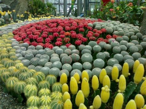 南山植物园图册 360百科