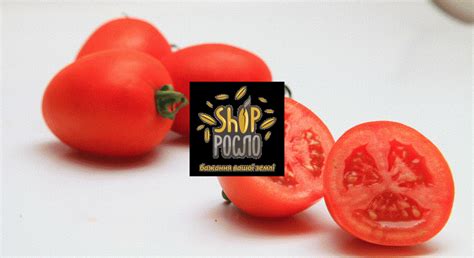 Насіння томату Велоз F1 Seminis Голландія 1 000 шт Товари для вирощування овочів і