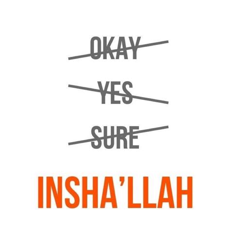 Umar Zia On Linkedin Inshaallah