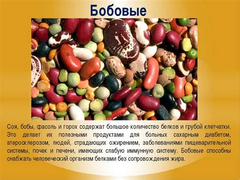 Соевые бобы - польза и вред для здоровья женщин и мужчин