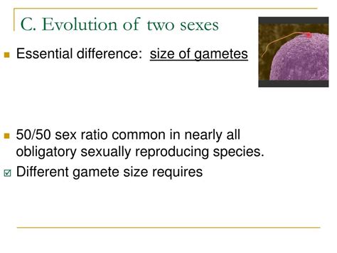 PPT Evolution Of Sex Asexual V Sexual Reproduction Theories On The Evolution Of Sex