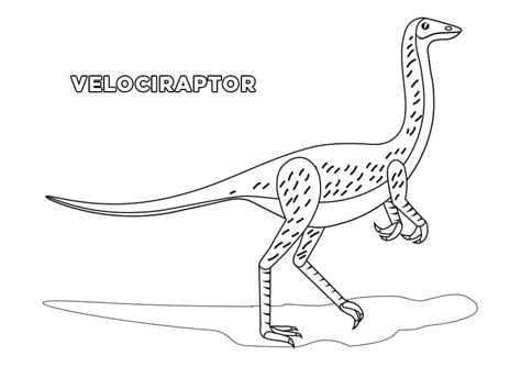 Dibujos De Dinosaurios Para Colorear Dinosaurio Velociraptor Dibujo